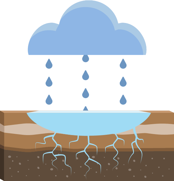 Hard Water: Cause, Effect and Solution - Hellenbrand